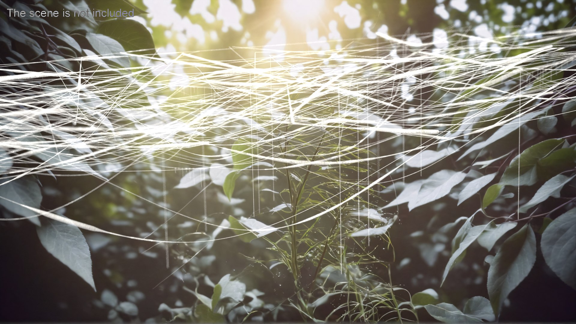 3D Spider Webs Collection 3 - TurboSquid 2298281