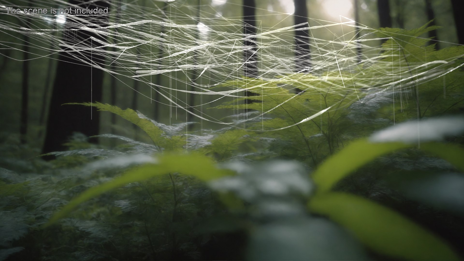 3D Spider Webs Collection 3 - TurboSquid 2298281