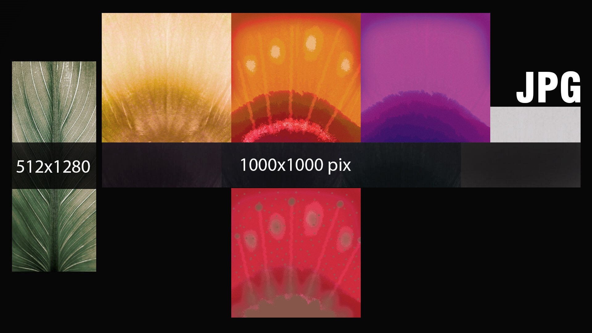 Flowers R11 3D - TurboSquid 2360426