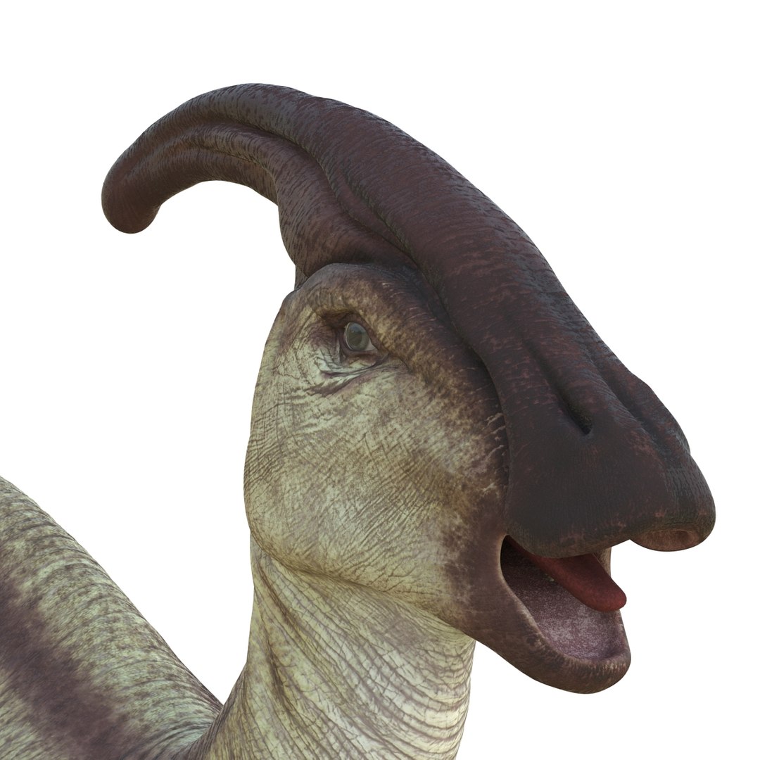 3d model parasaurolophus rigged