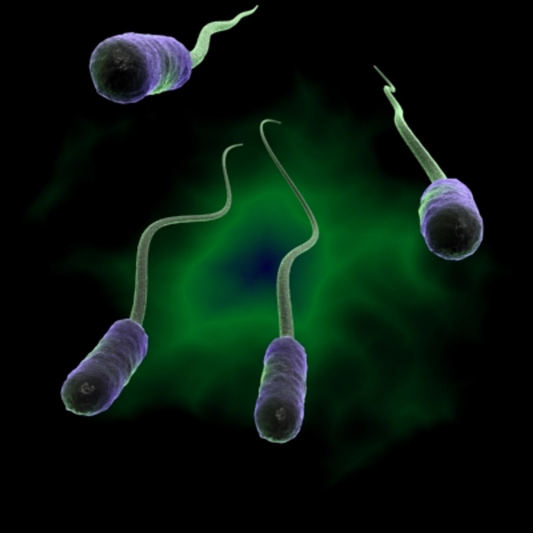 Max Monotrichous Bacteria