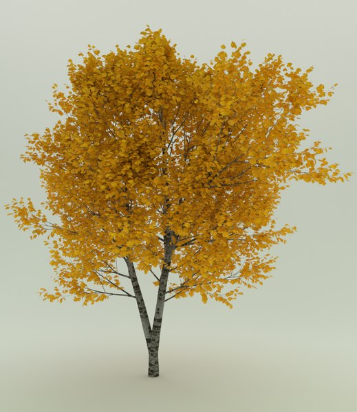 Oak Tree Blender Models for Download | TurboSquid