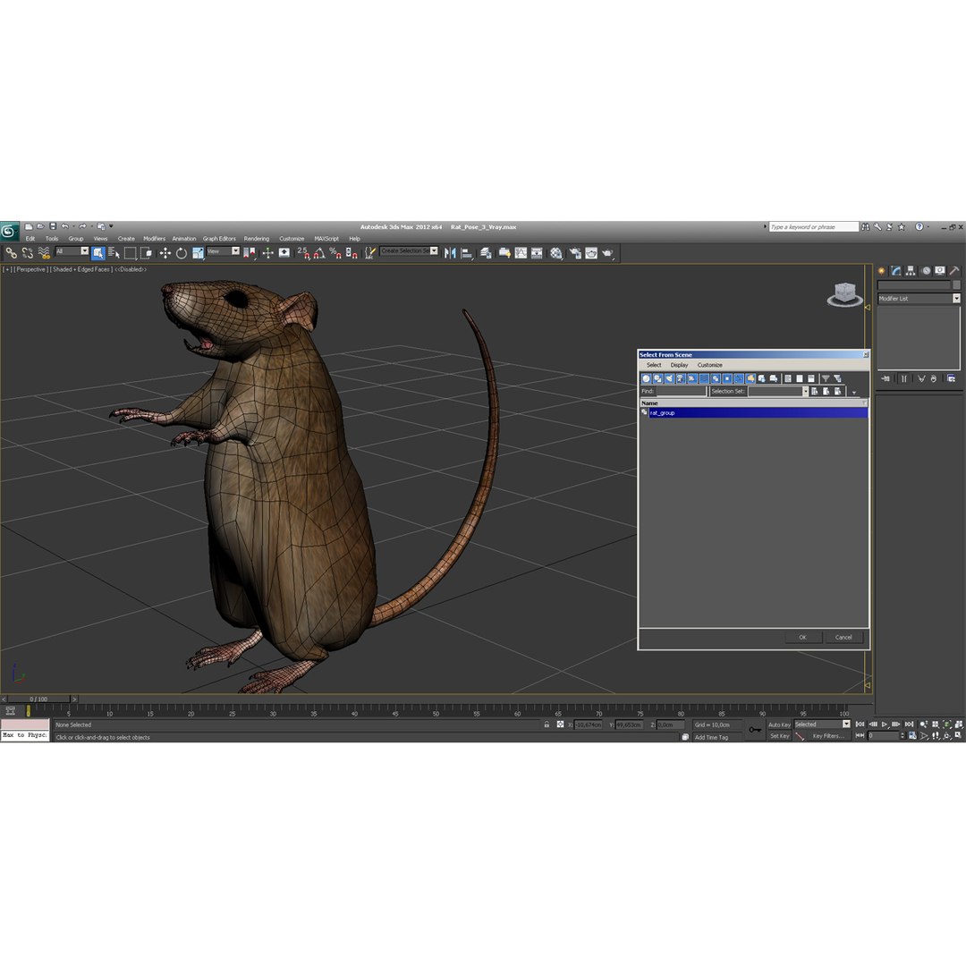 Rat Modelled 3d Model
