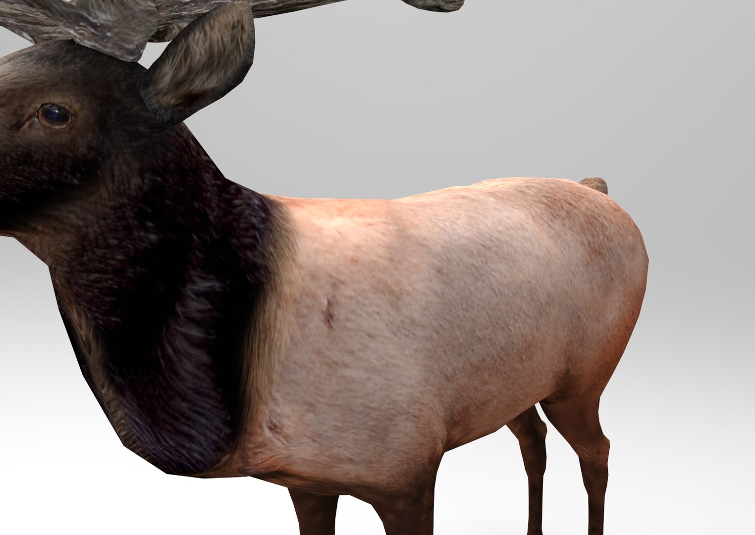 Reindeer Rigged Animation 3D Model - TurboSquid 1205535