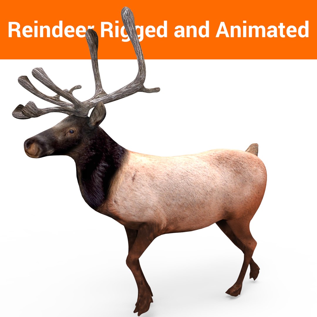 Reindeer Rigged Animation 3D Model - TurboSquid 1205535
