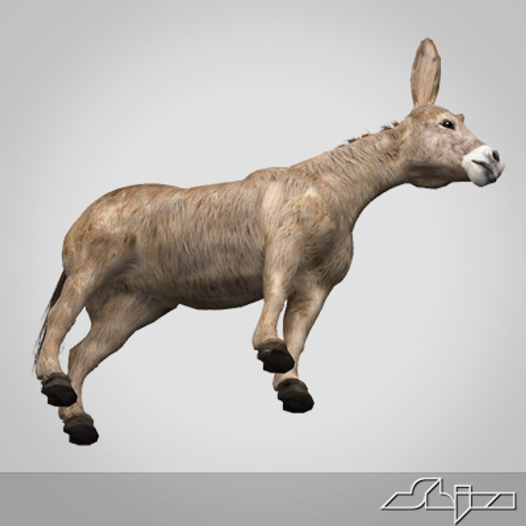 3d Donkey