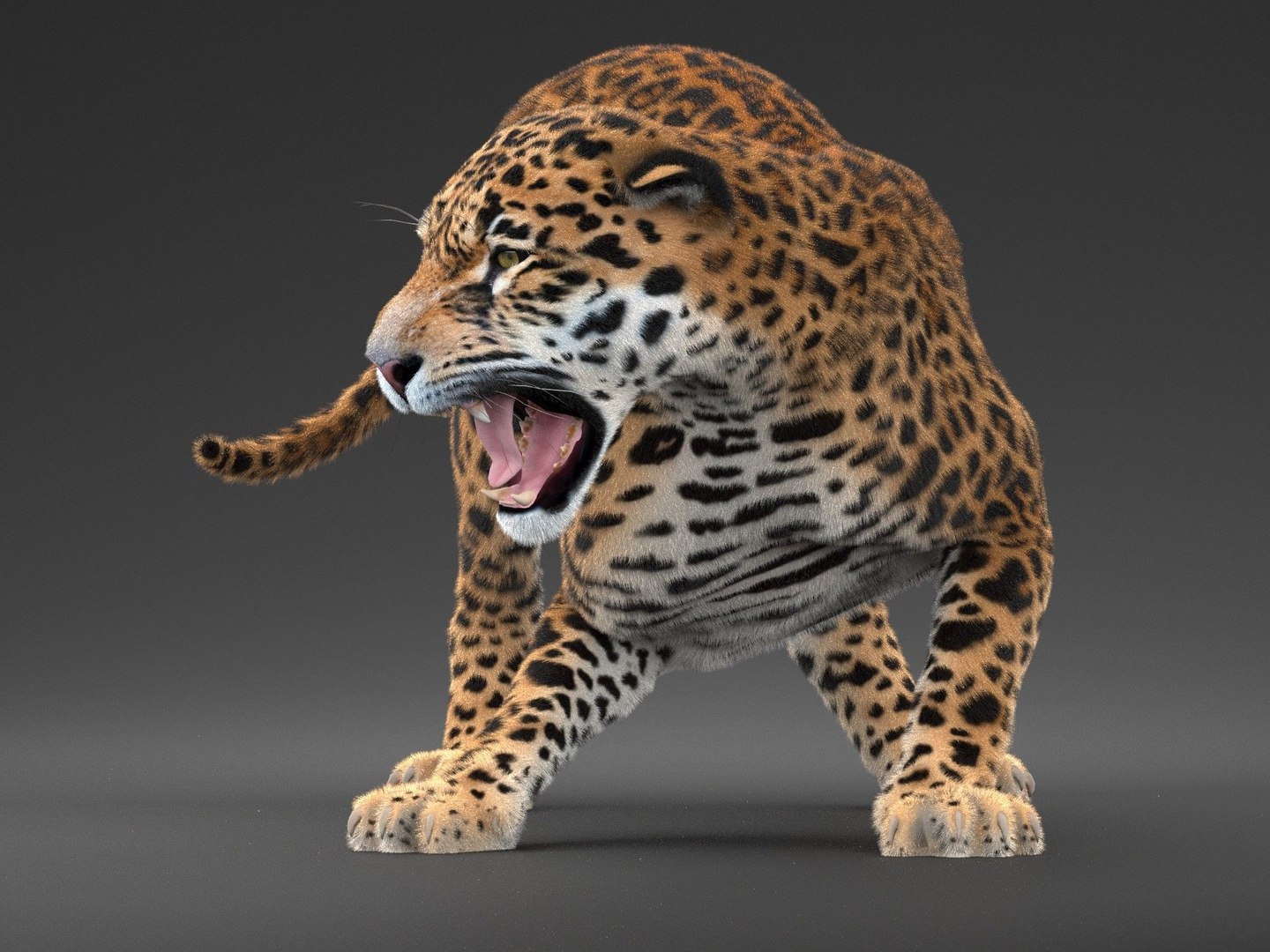 American Panthera Onca 3D Model - TurboSquid 1171815