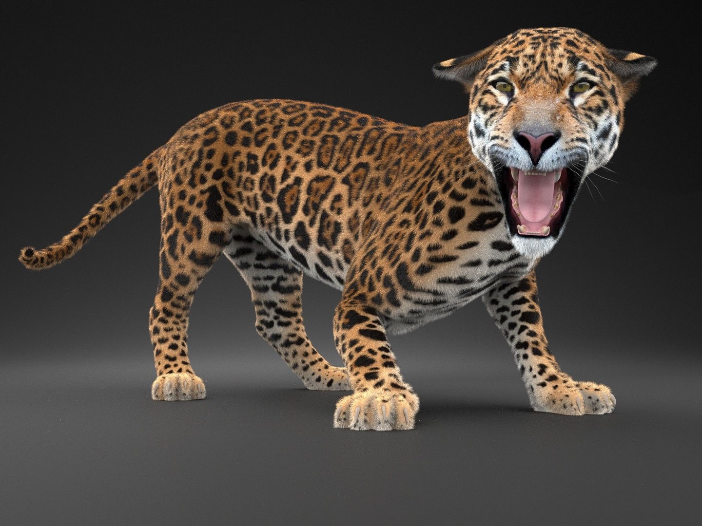 American Panthera Onca 3D Model - TurboSquid 1171815