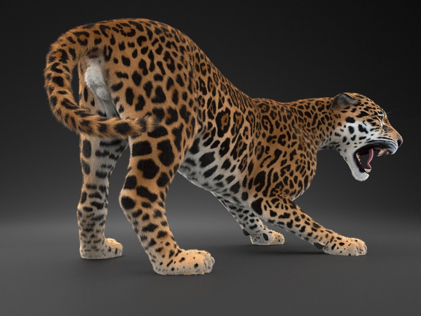 American Panthera Onca 3D Model - TurboSquid 1171815