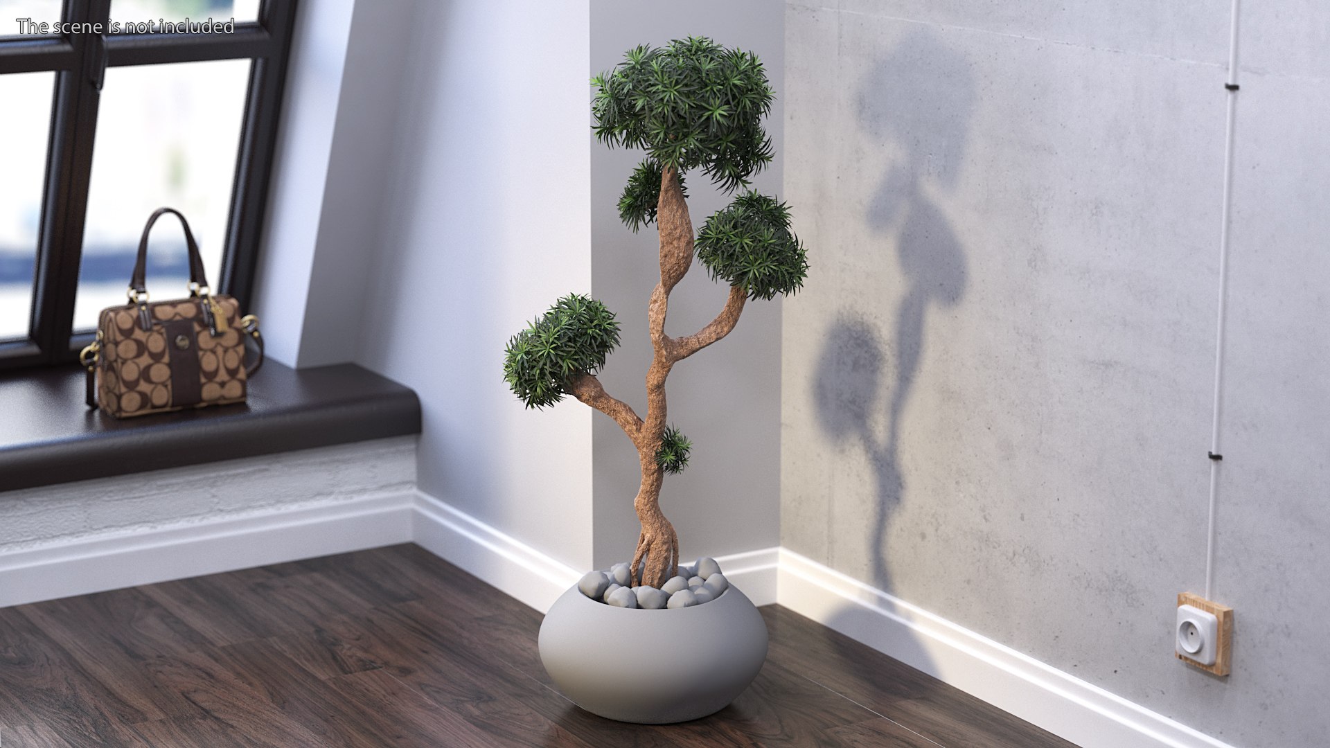 3D Podocarpus Small Tree - TurboSquid 1789868