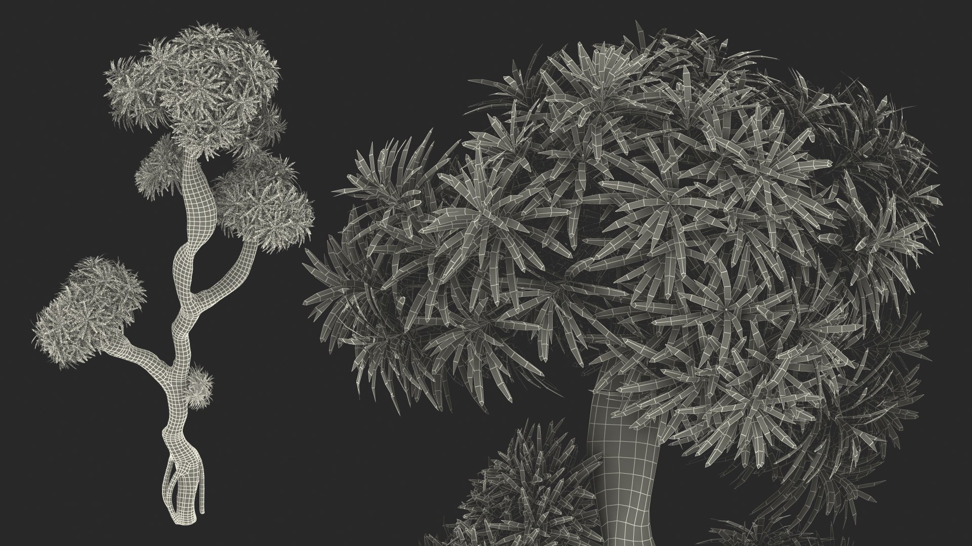 3D Podocarpus Small Tree - TurboSquid 1789868