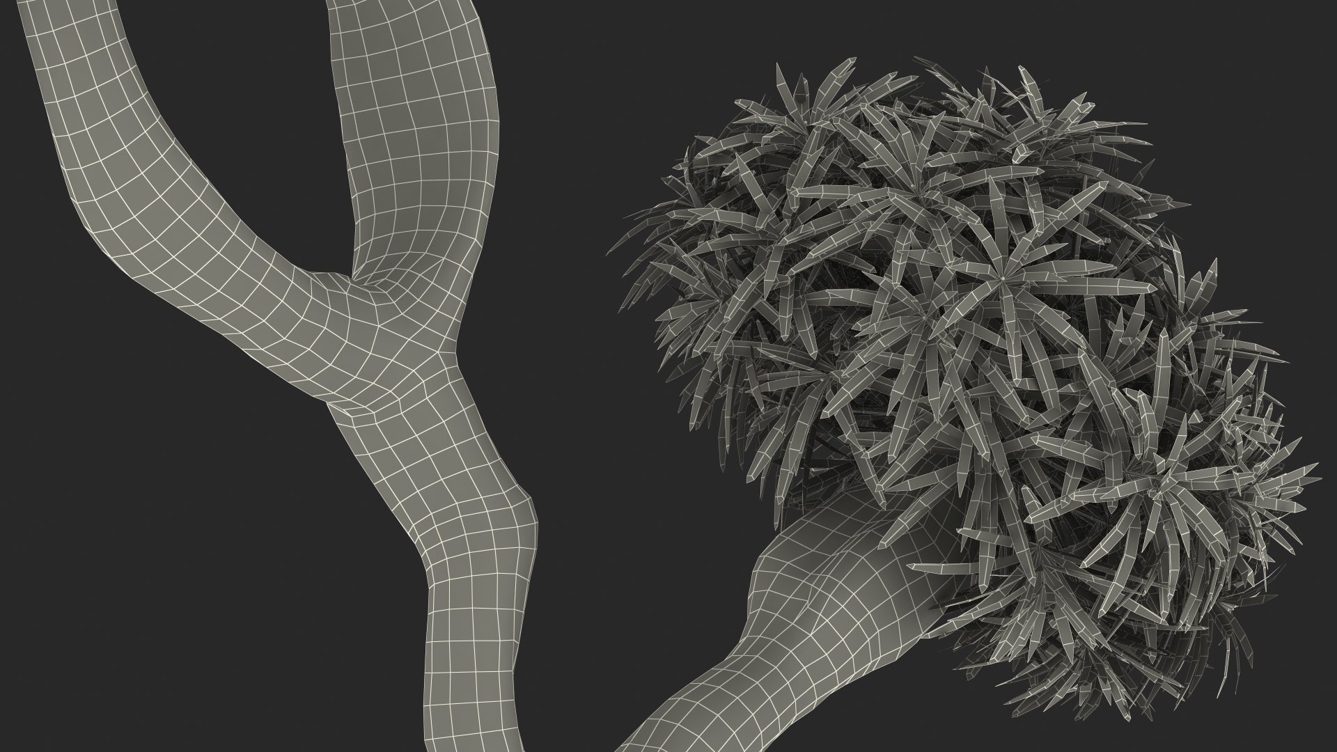 3D Podocarpus Small Tree - TurboSquid 1789868