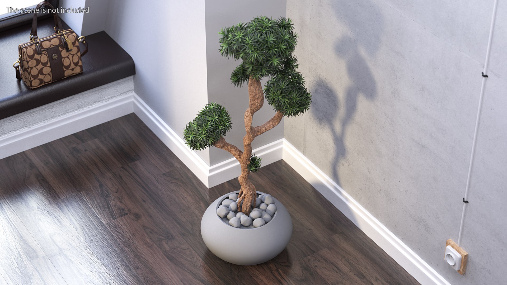 3D Podocarpus Small Tree - TurboSquid 1789868