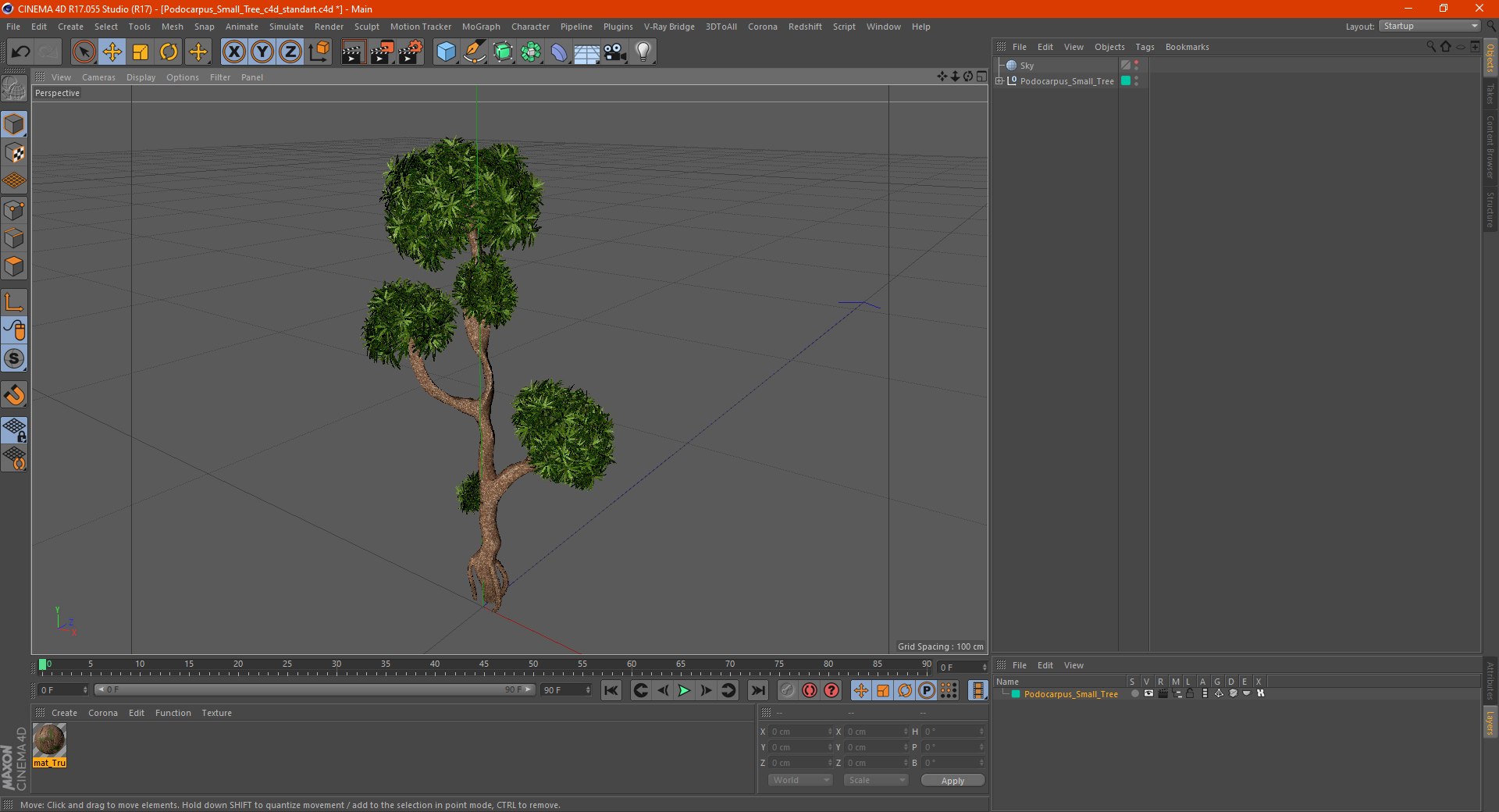 3D Podocarpus Small Tree - TurboSquid 1789868