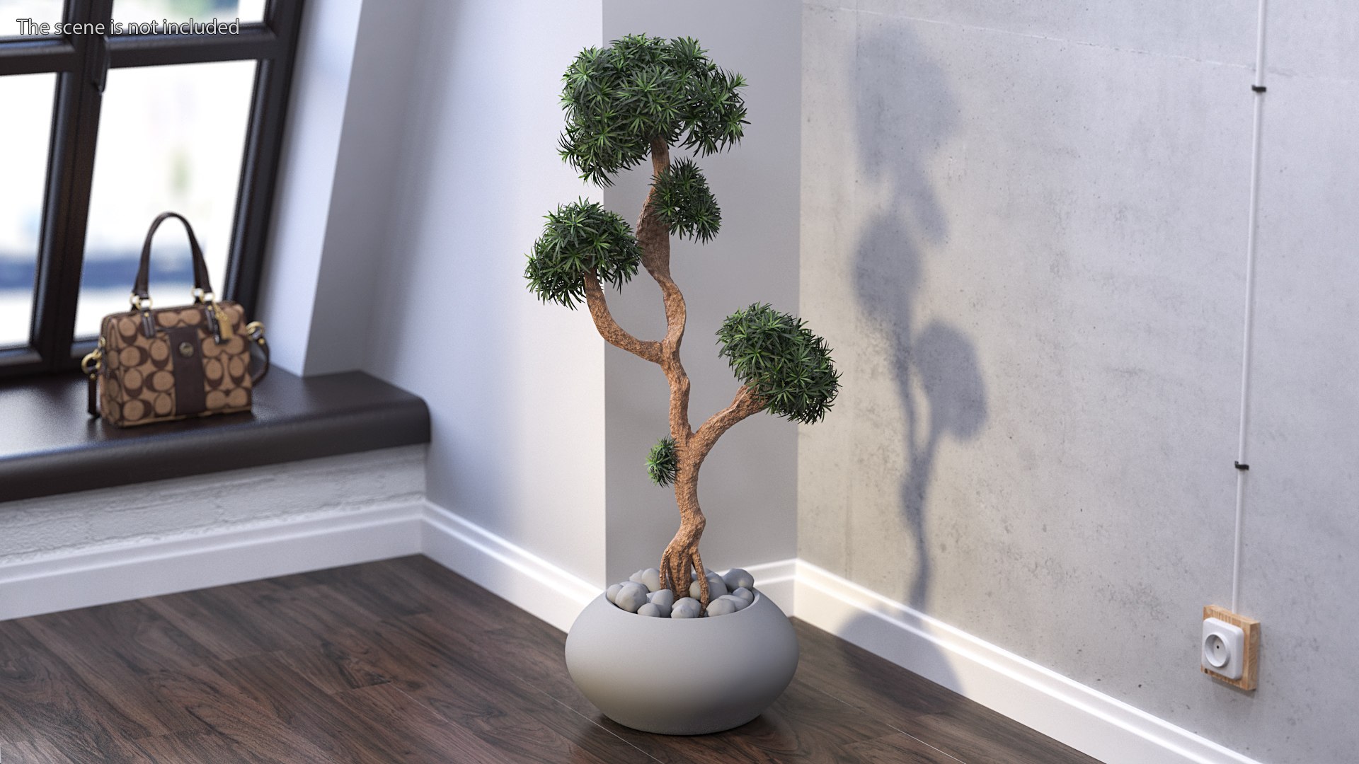 3D Podocarpus Small Tree - TurboSquid 1789868