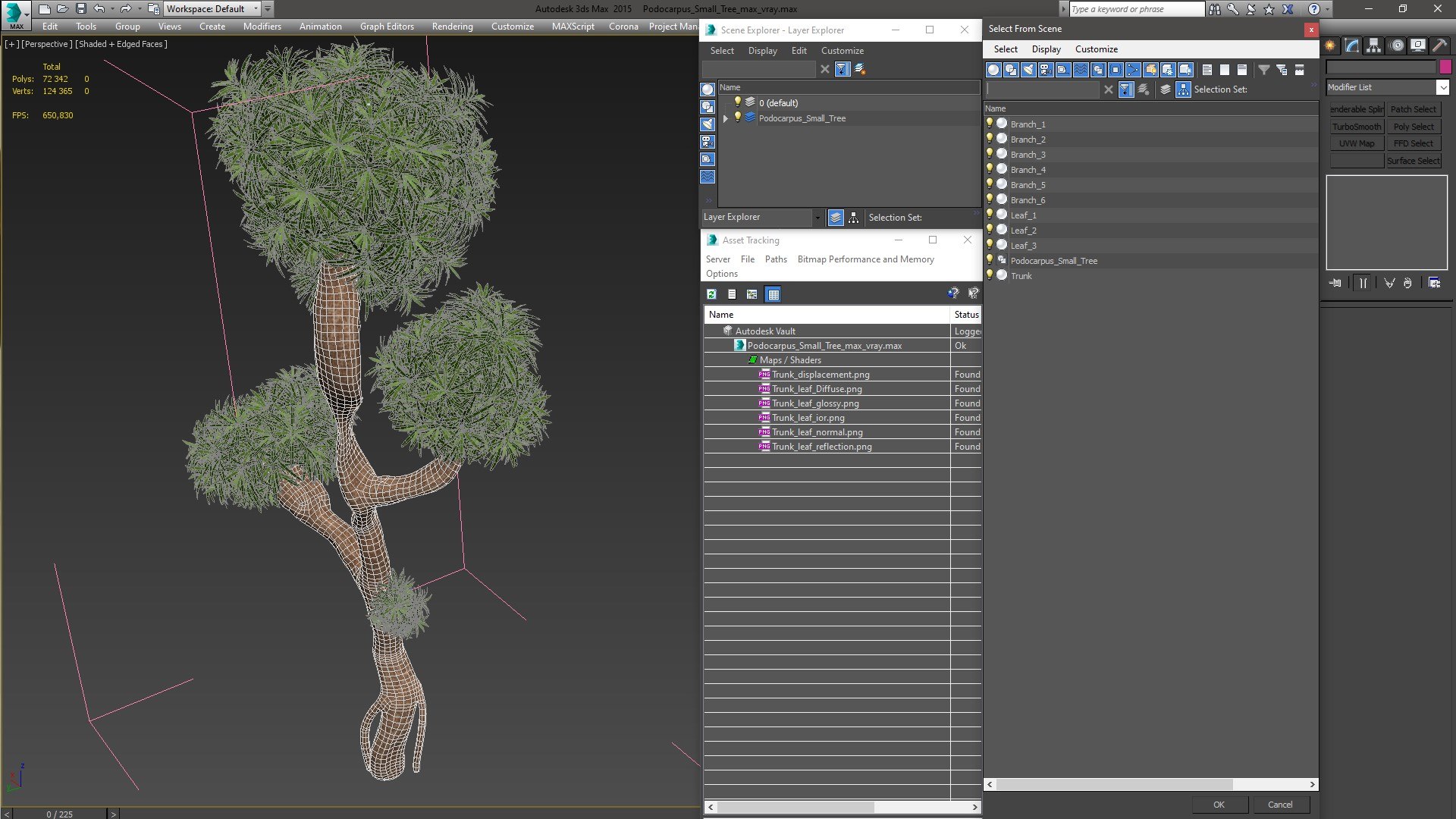 3D Podocarpus Small Tree - TurboSquid 1789868