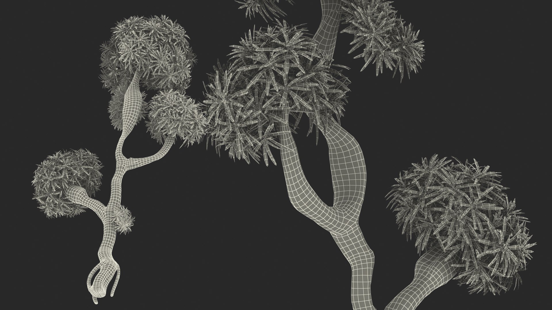 3D Podocarpus Small Tree - TurboSquid 1789868