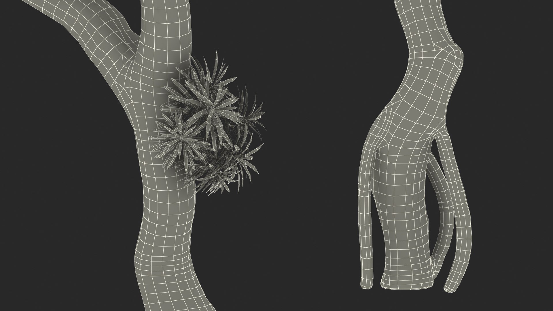 3D Podocarpus Small Tree - TurboSquid 1789868