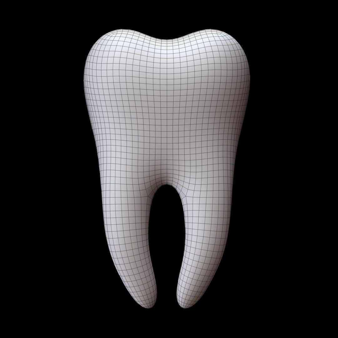 Teeth Anatomy Mouth 3D - TurboSquid 1406009