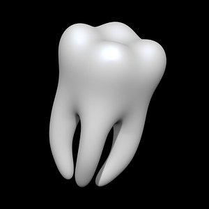 3D Tooth Models - Browse & Download Formats - TurboSquid