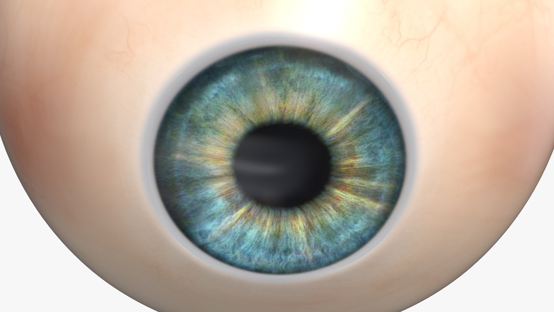3D Model Human Eye 001 PBR 8K - TurboSquid 1951230