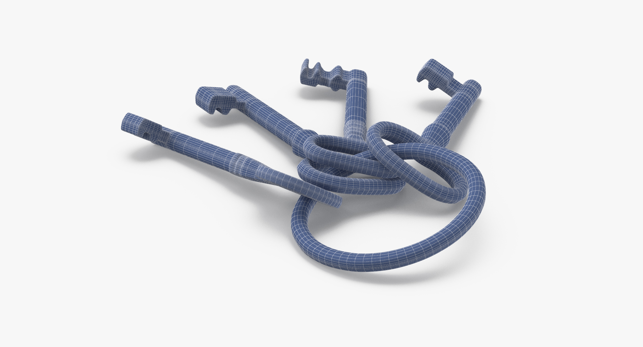 obj old skeleton keys ring