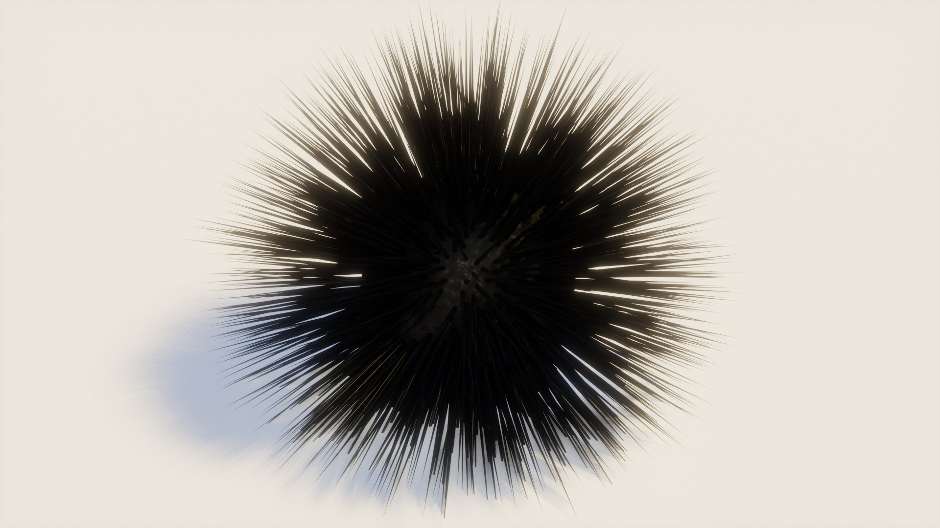 3D Sea Urchin - TurboSquid 1602348