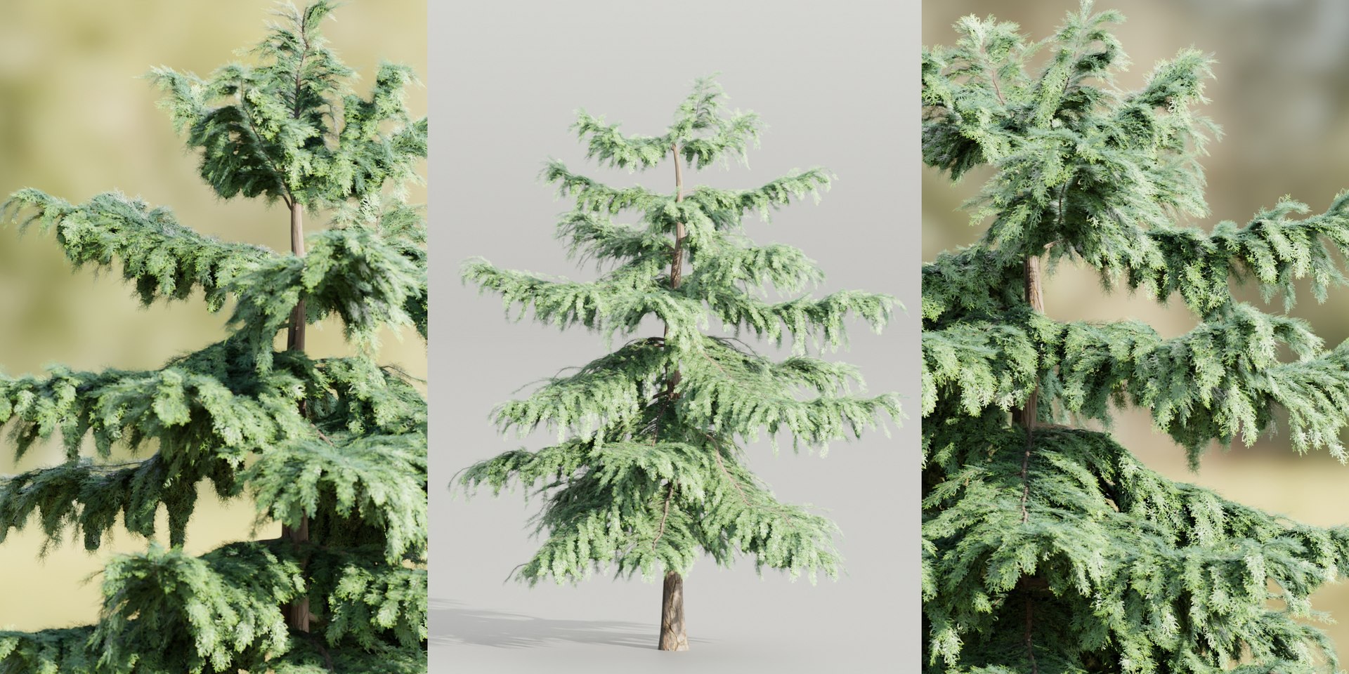 Pine Trees Collection Vol 107-Blender 3D - TurboSquid 2138342