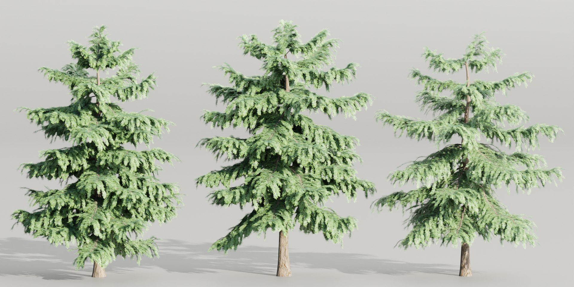 Pine Trees Collection Vol 107-Blender 3D - TurboSquid 2138342