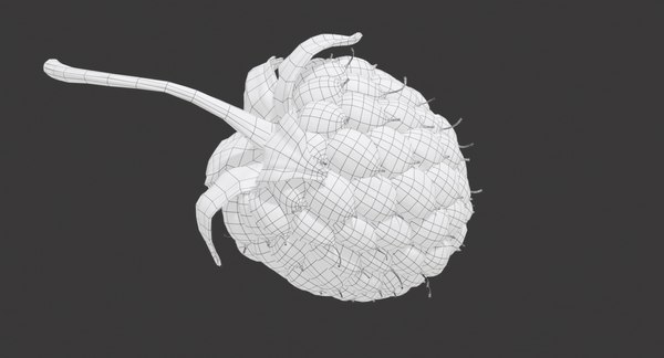 3D raspberry realistic real - TurboSquid 1404425
