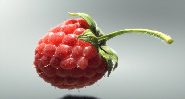 3D raspberry realistic real - TurboSquid 1404425