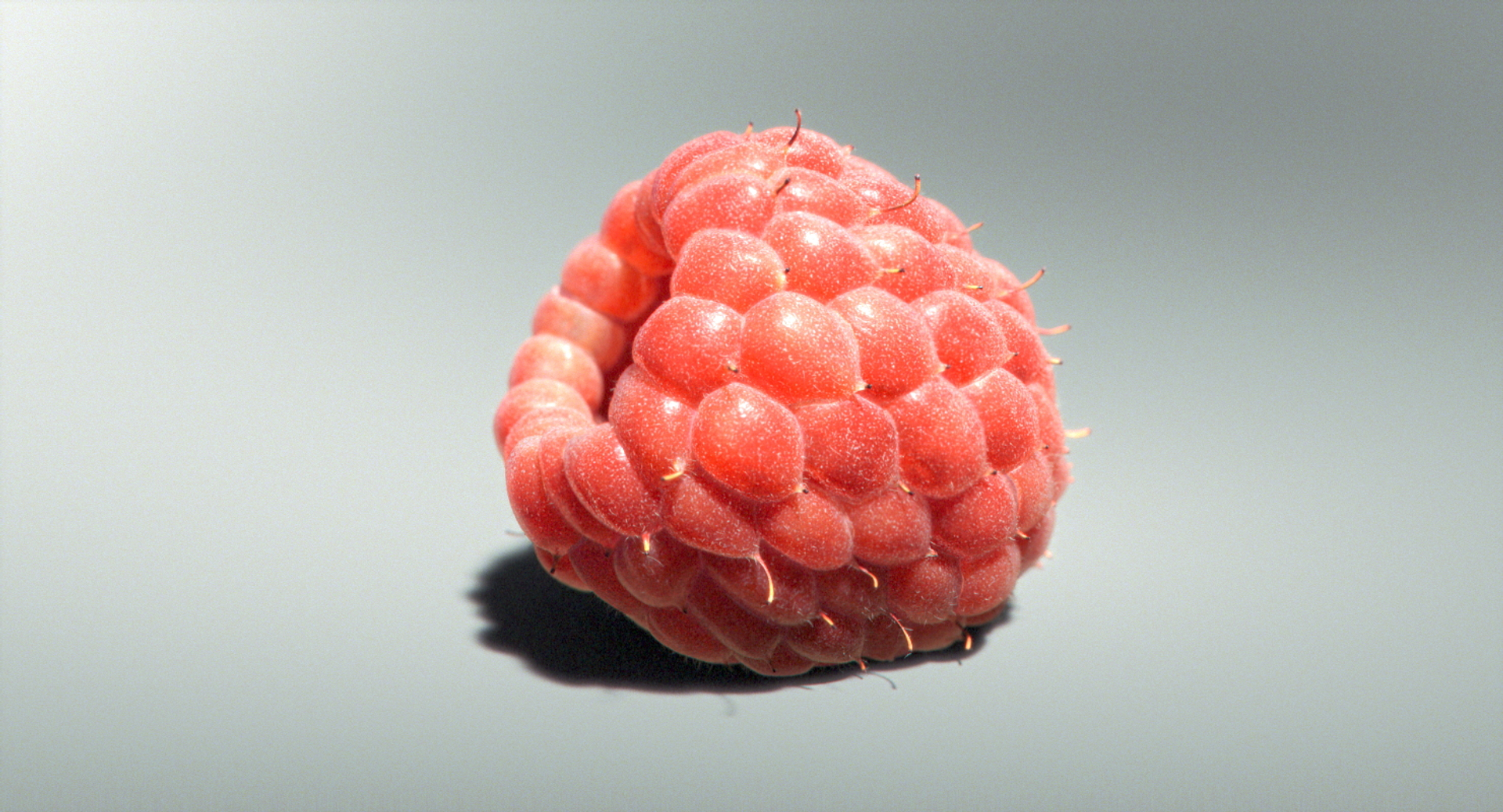 3D Raspberry Realistic Real - TurboSquid 1404425