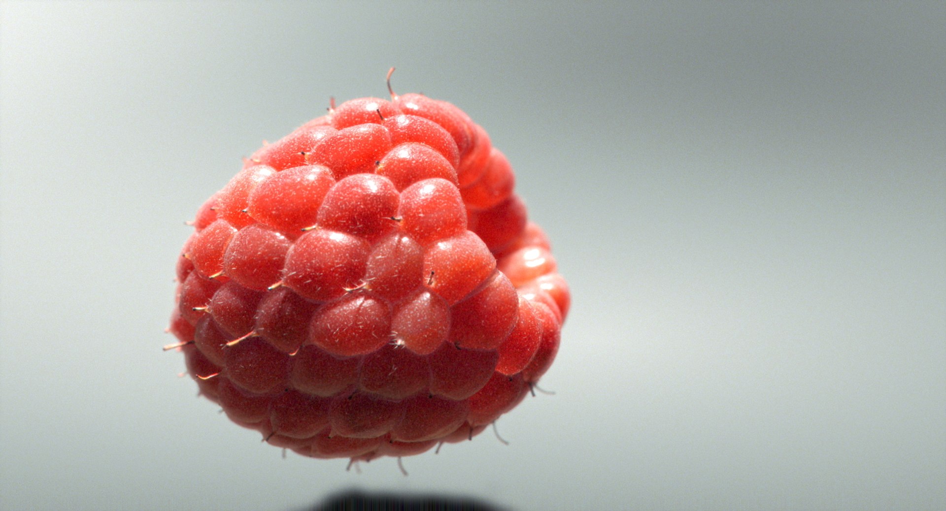 3D raspberry realistic real - TurboSquid 1404425