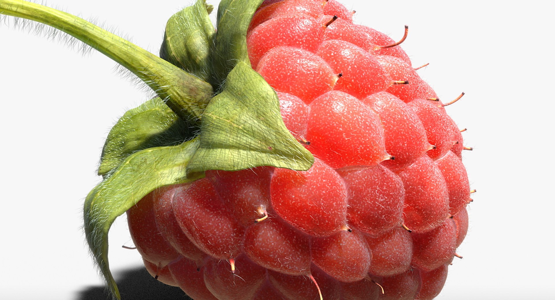 3D raspberry realistic real - TurboSquid 1404425