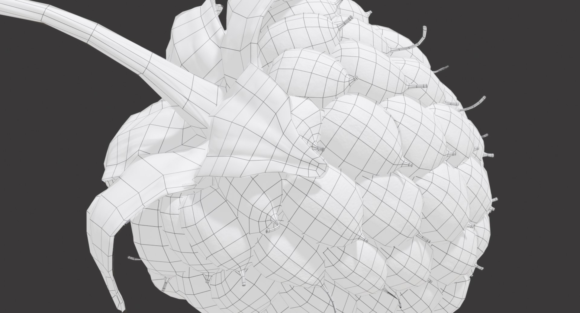 3D raspberry realistic real - TurboSquid 1404425