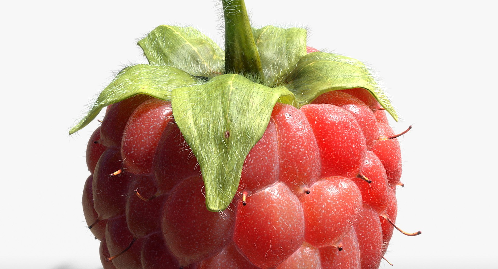 3D raspberry realistic real - TurboSquid 1404425