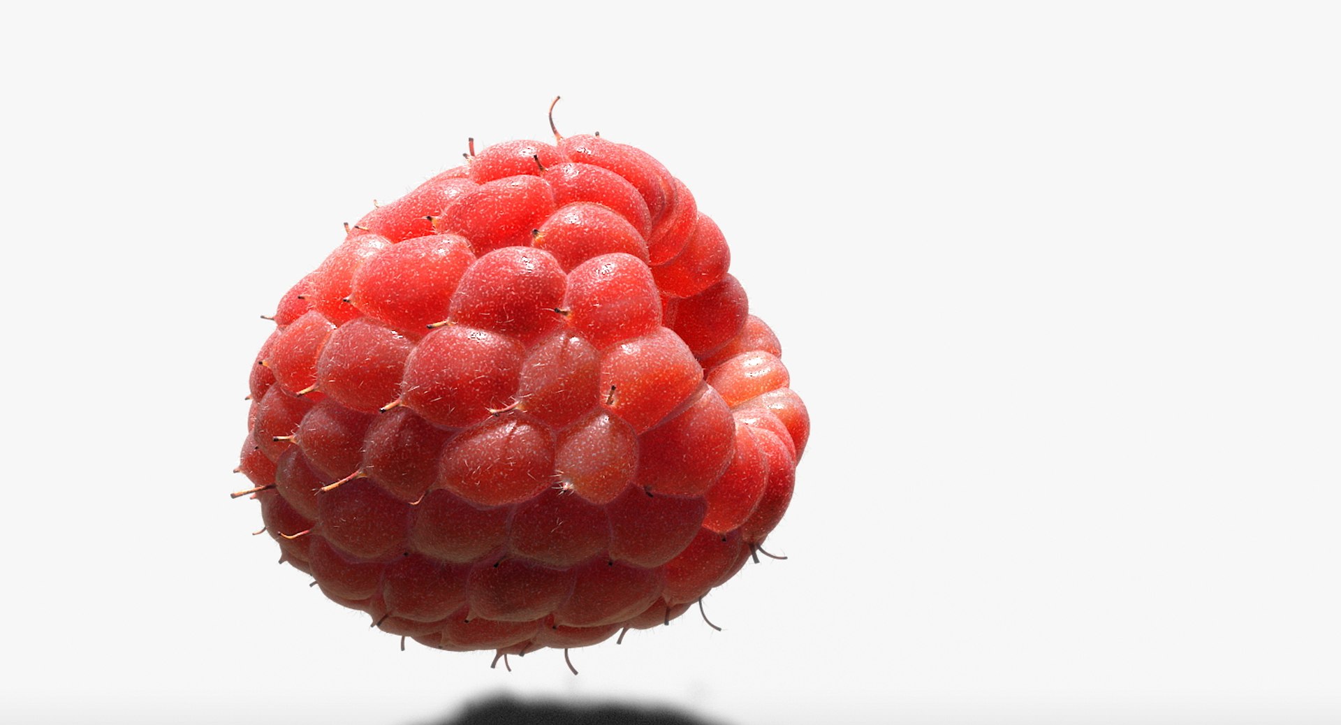 3D raspberry realistic real - TurboSquid 1404425