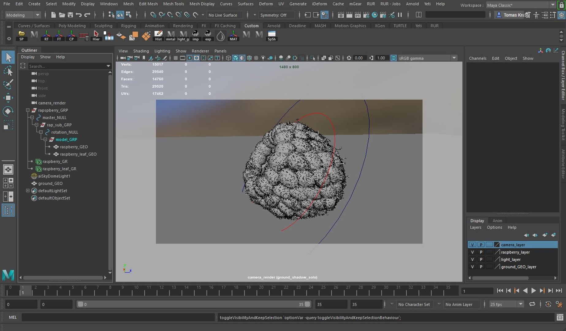 3D raspberry realistic real - TurboSquid 1404425