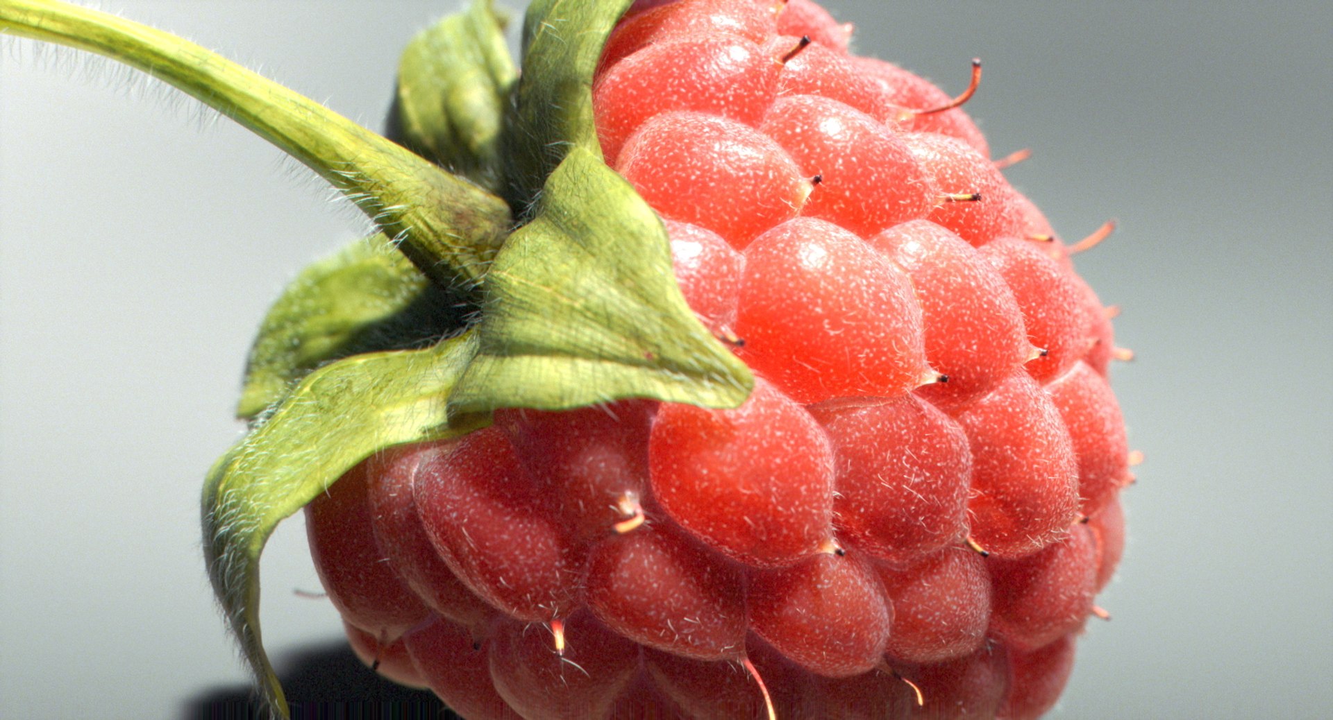 3D raspberry realistic real - TurboSquid 1404425