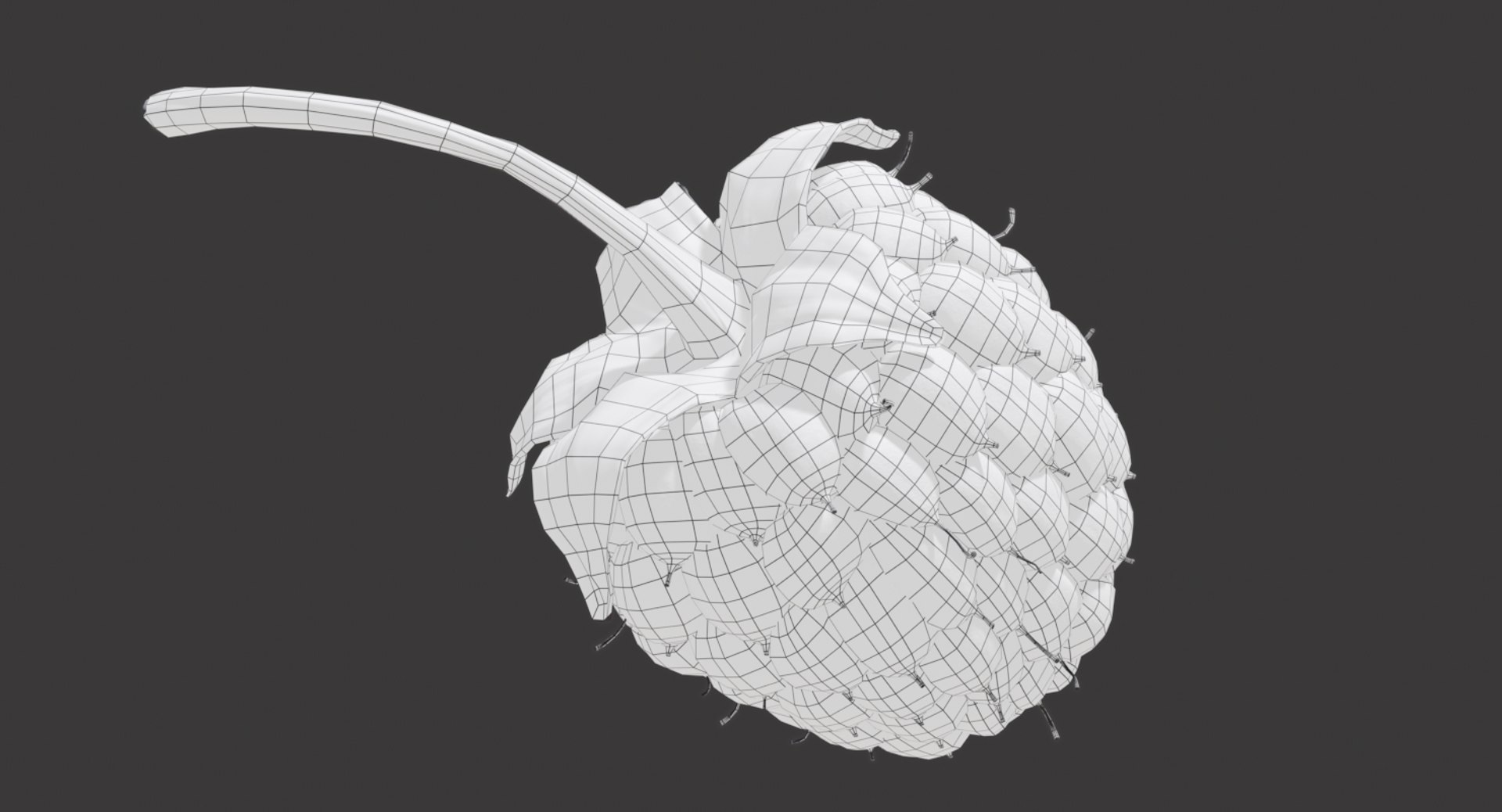 3D raspberry realistic real - TurboSquid 1404425