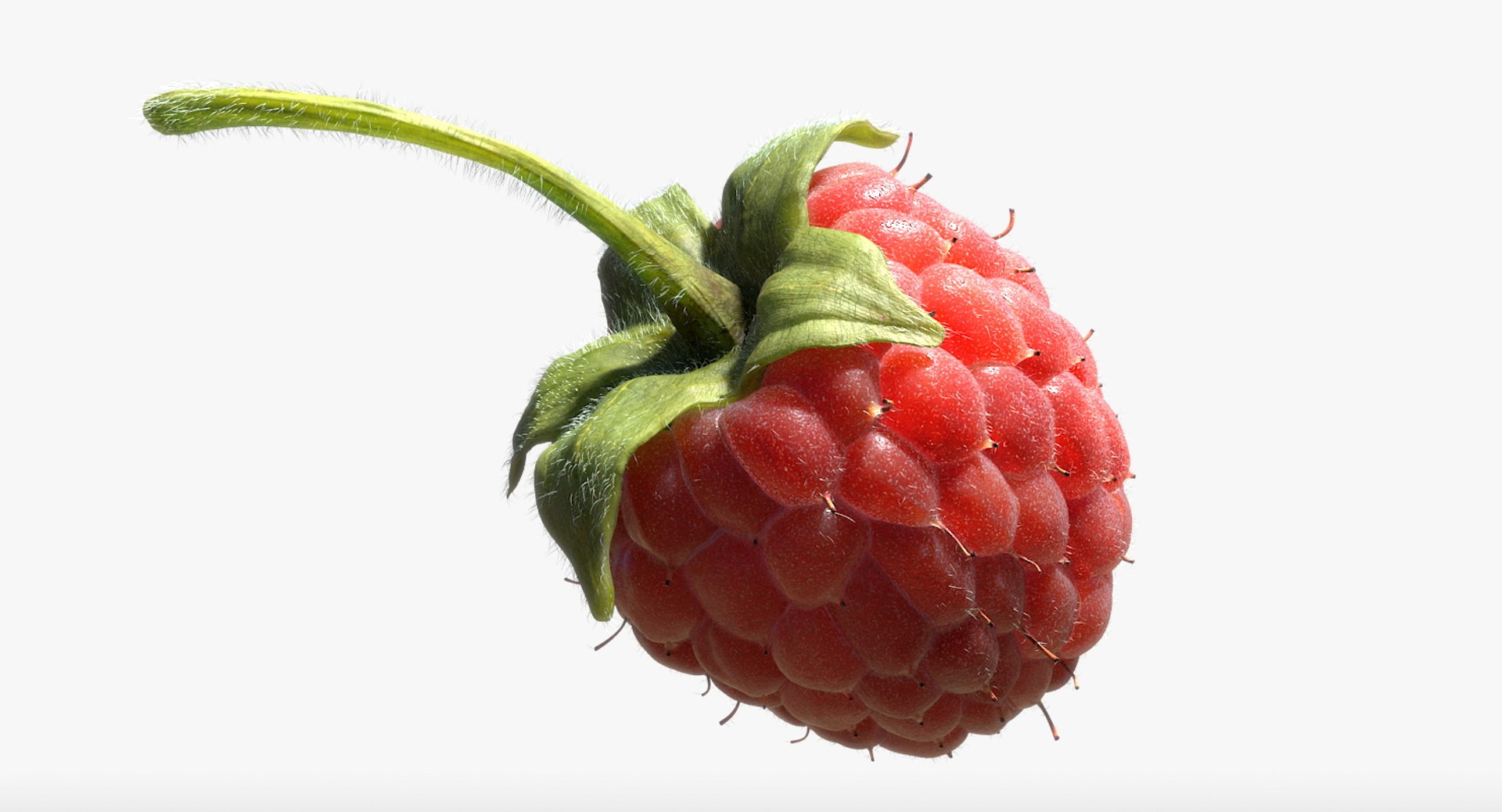 3D raspberry realistic real - TurboSquid 1404425