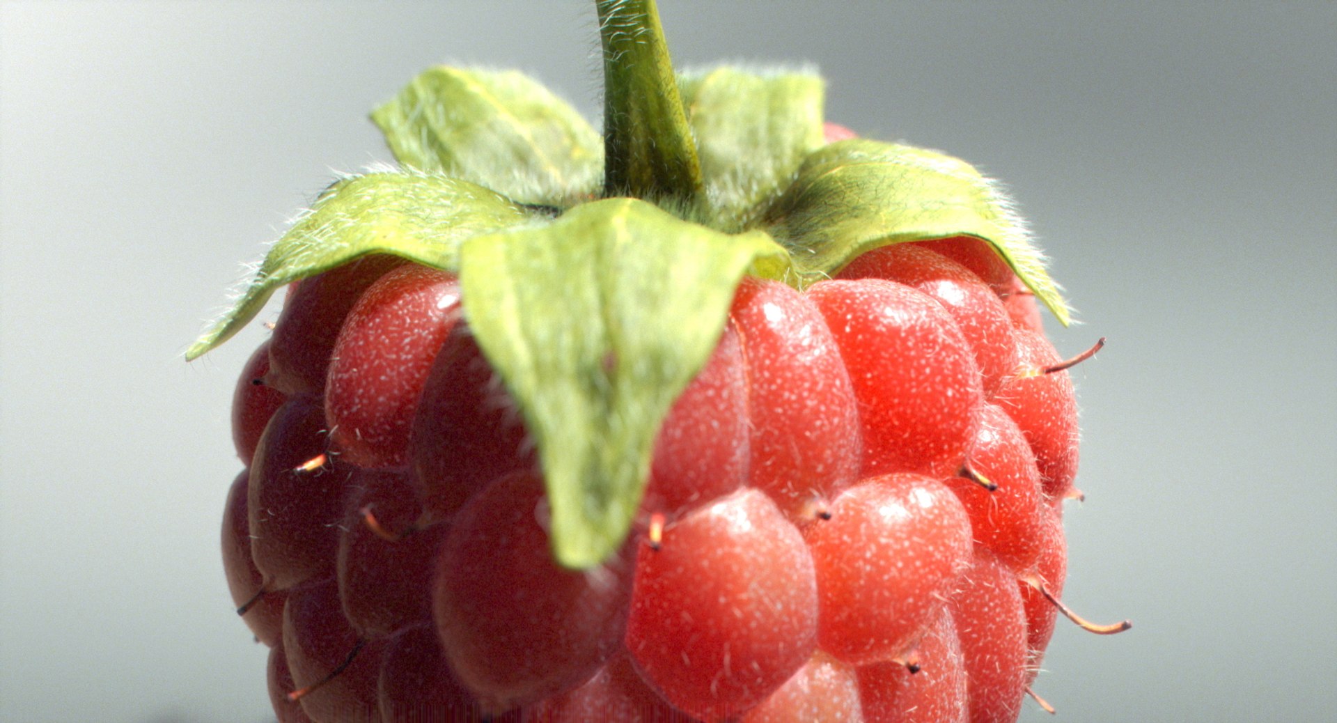 3D raspberry realistic real - TurboSquid 1404425