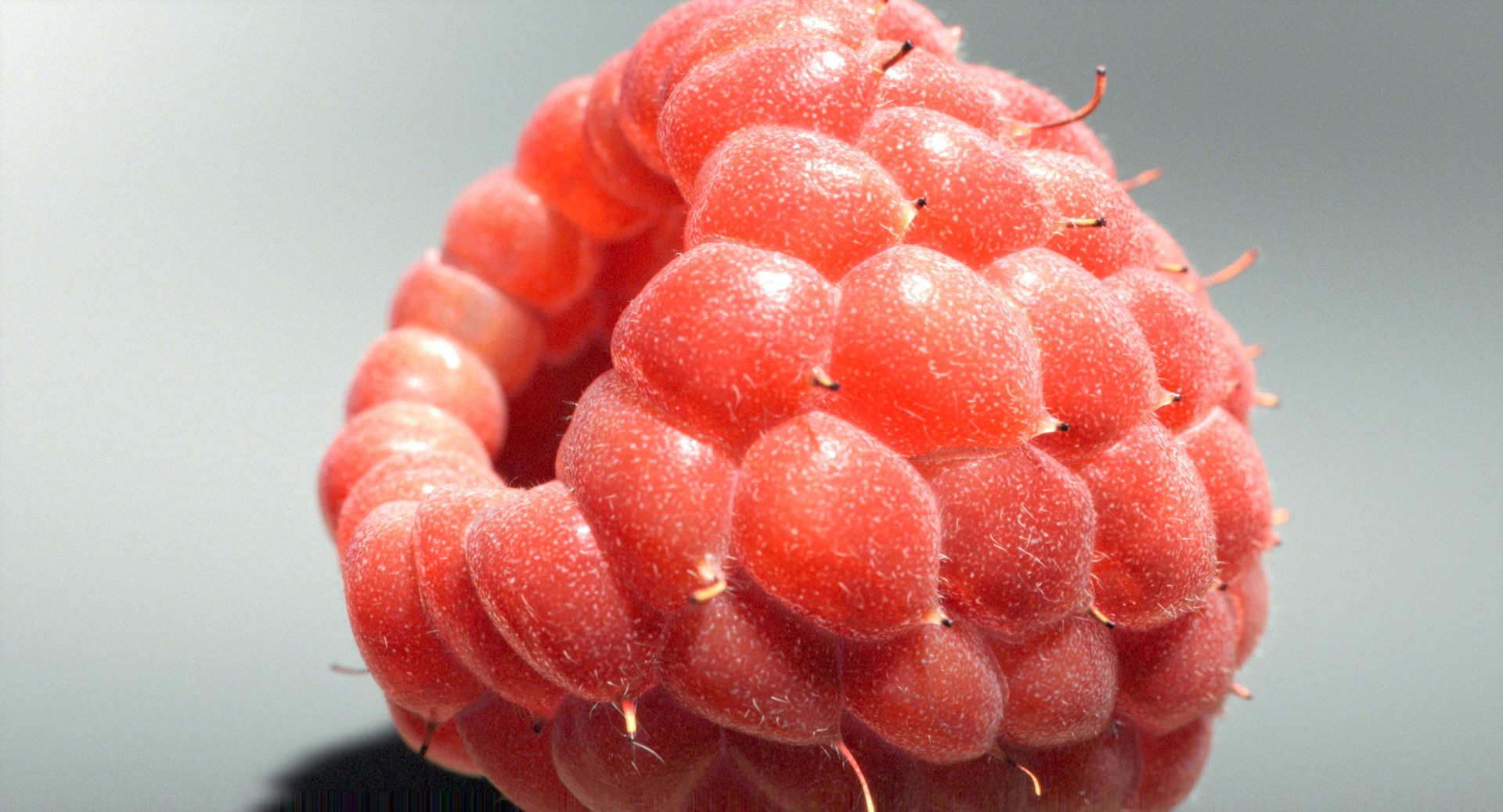 3D raspberry realistic real - TurboSquid 1404425