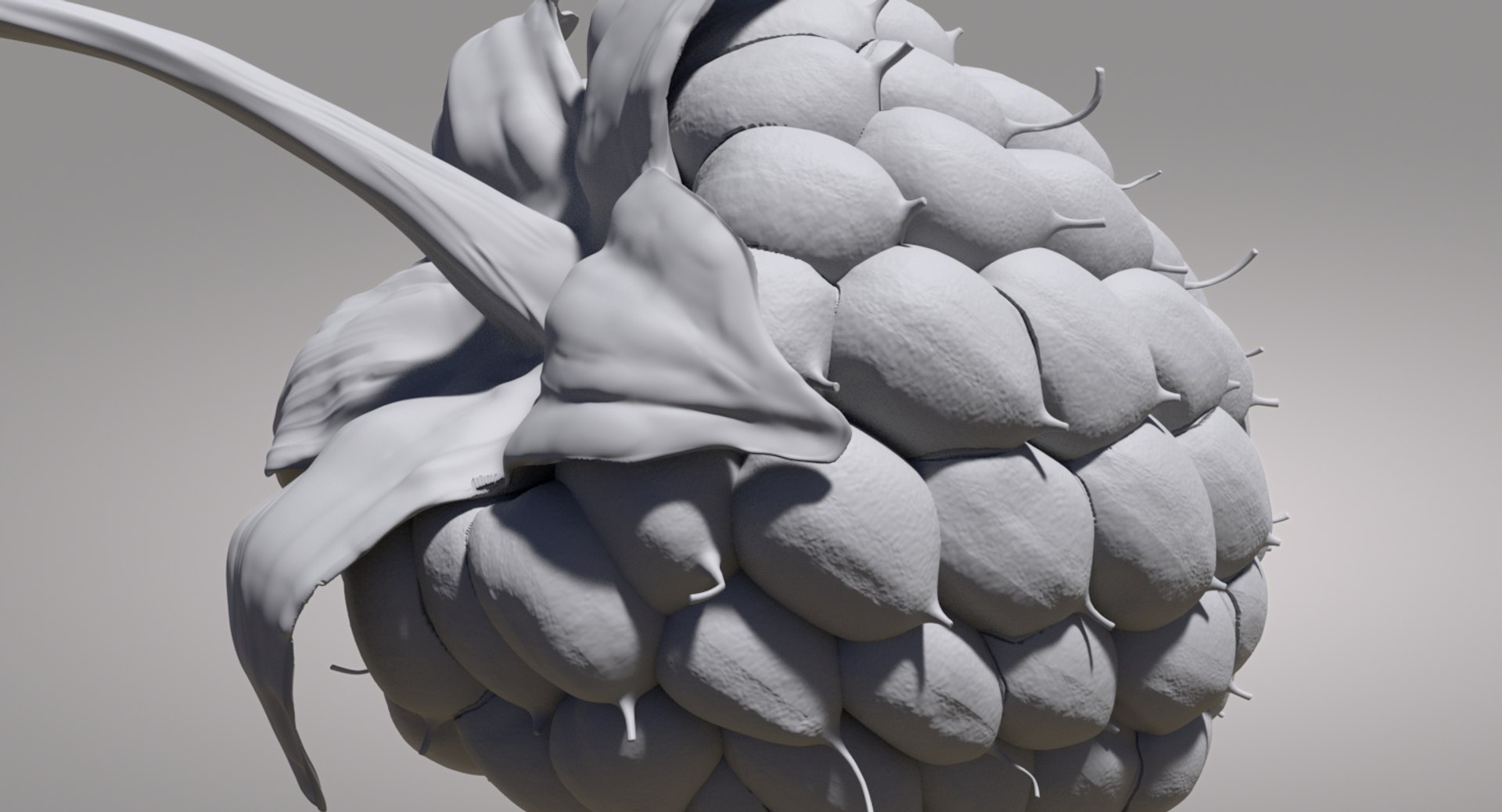 3D raspberry realistic real - TurboSquid 1404425