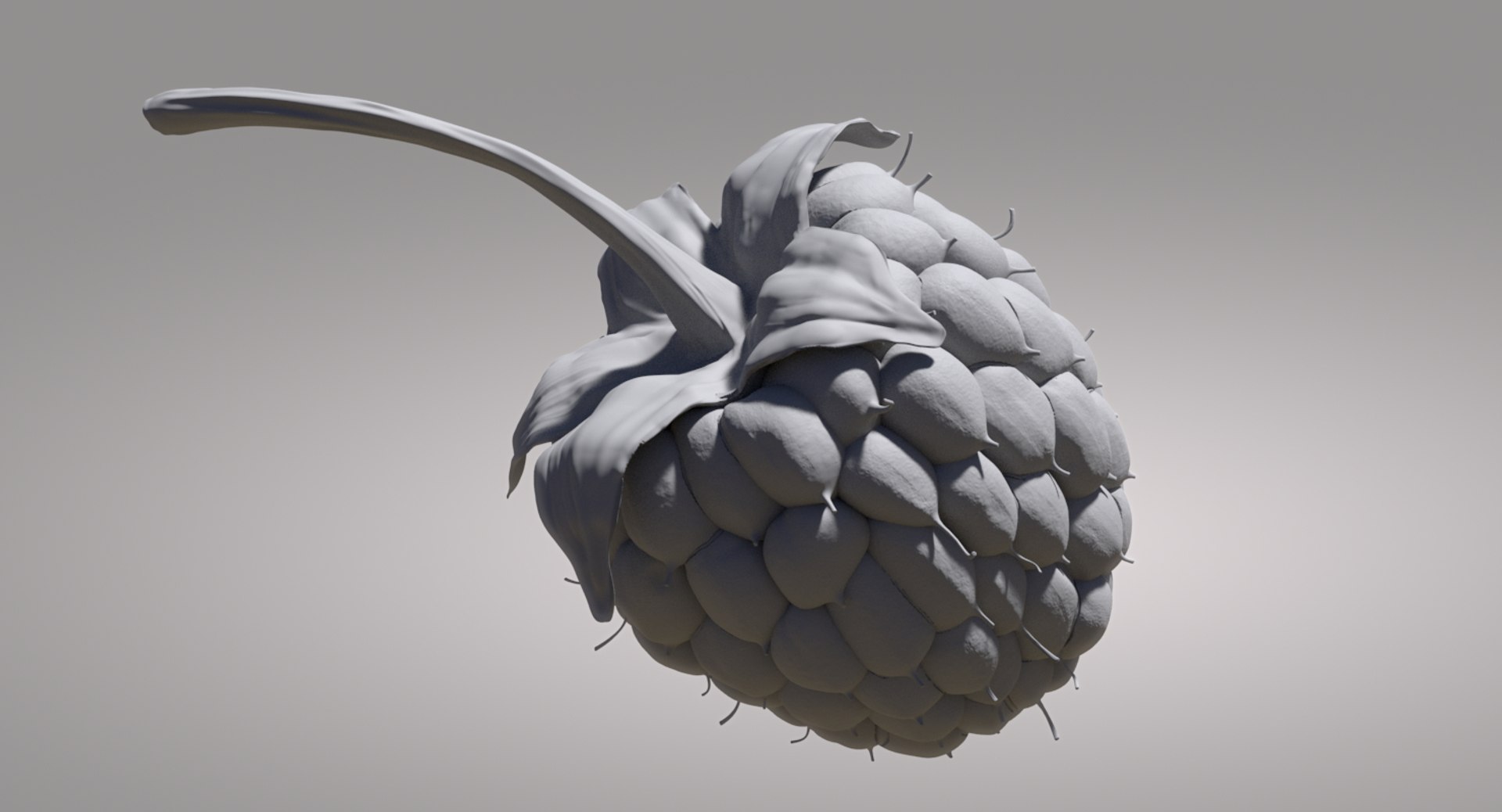 3D raspberry realistic real - TurboSquid 1404425