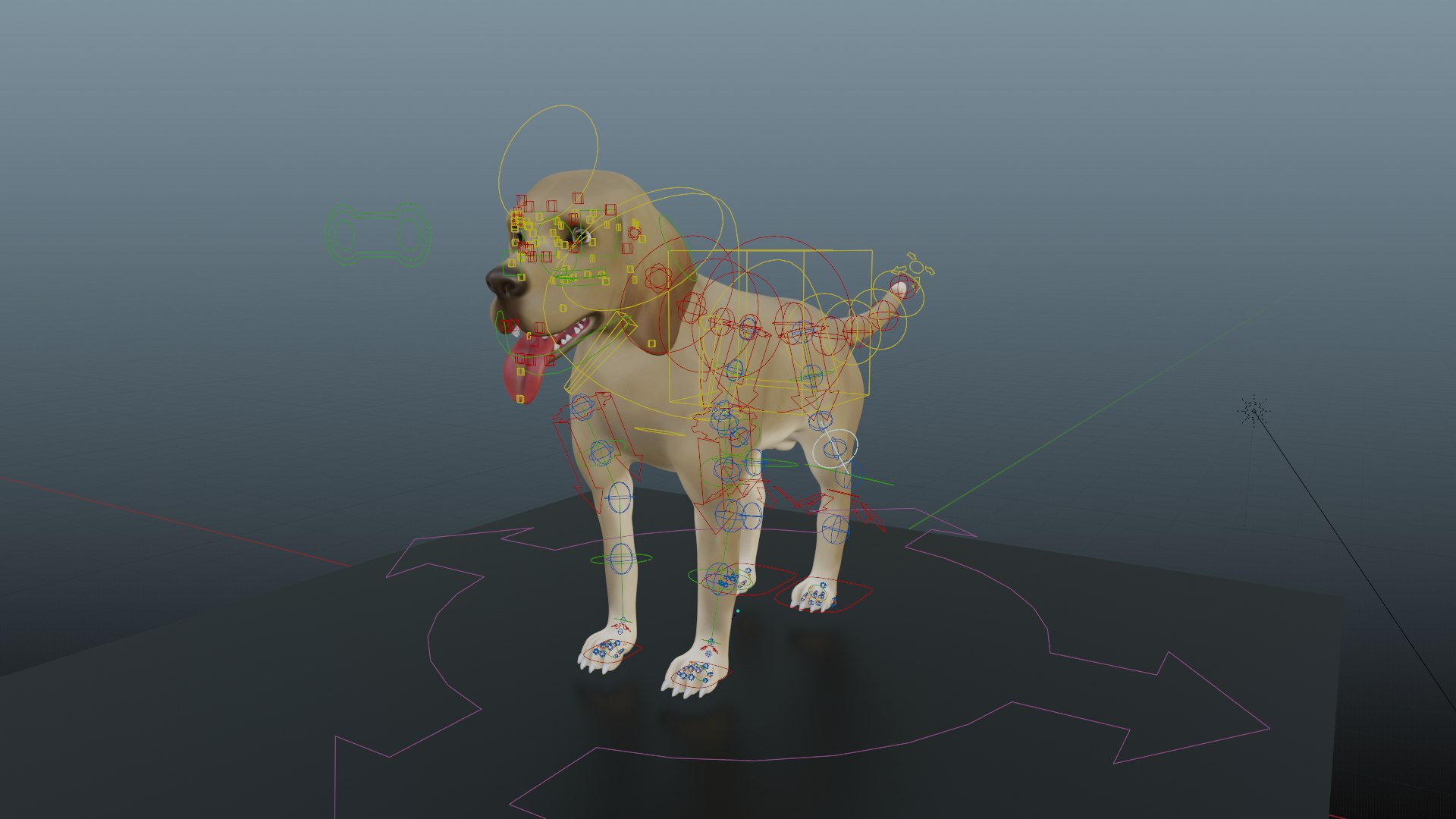 LABRADOR 3D Model - TurboSquid 1929687