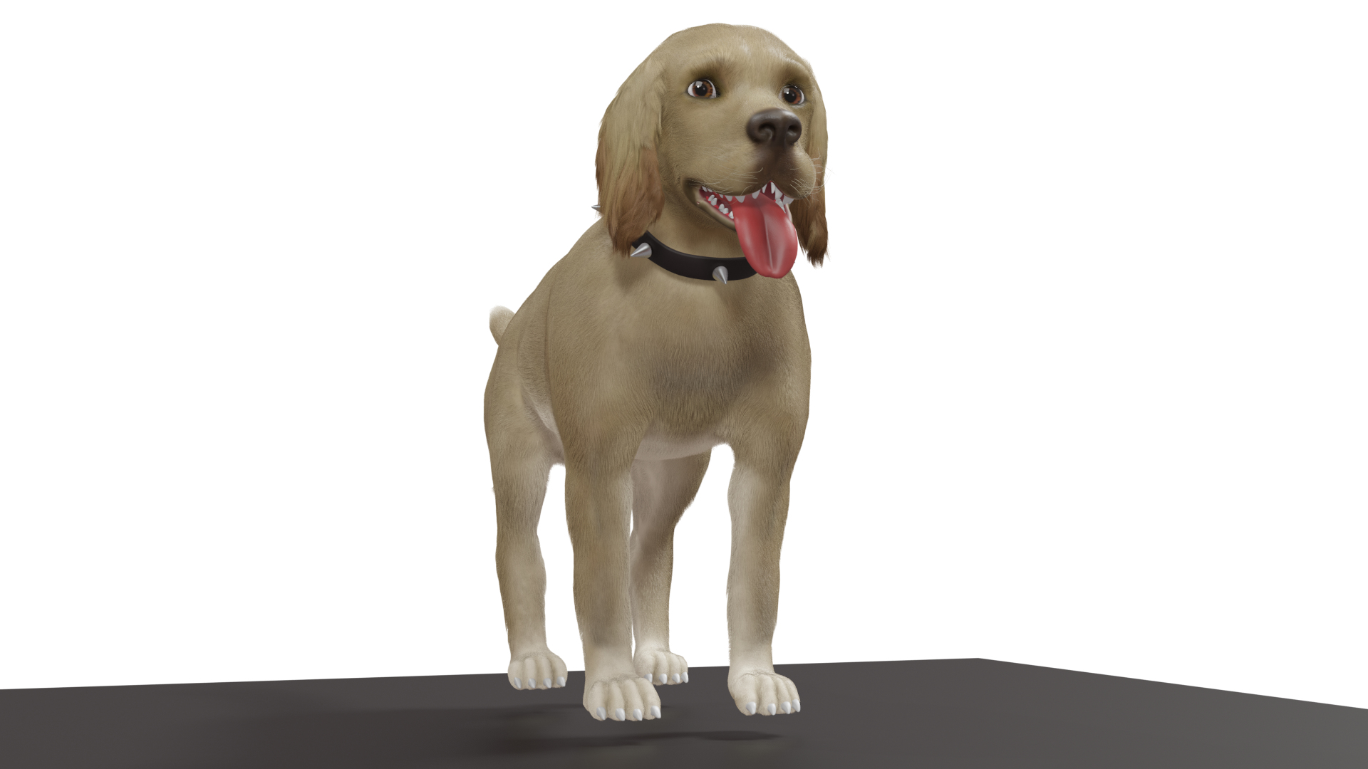 LABRADOR 3D Model - TurboSquid 1929687