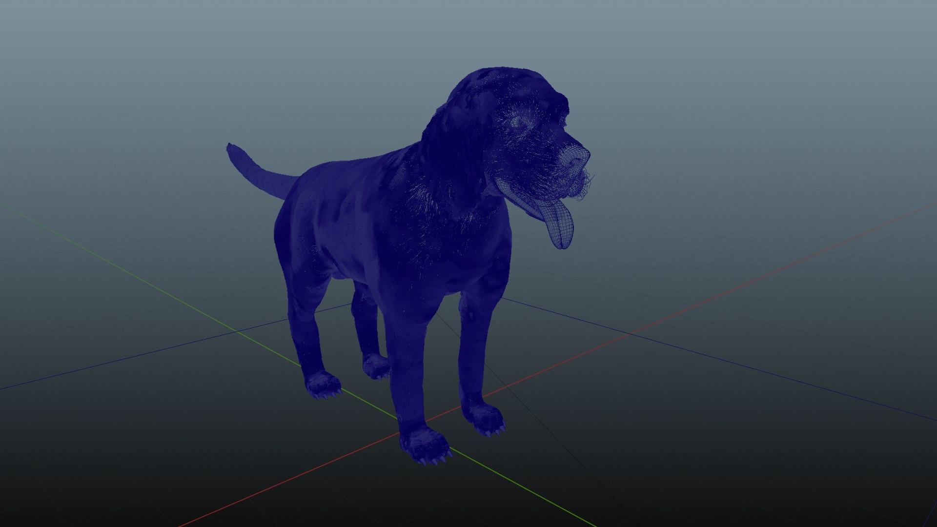 LABRADOR 3D model - TurboSquid 1929687