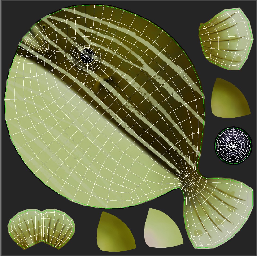 Animated pufferfish 3D model - TurboSquid 2155025