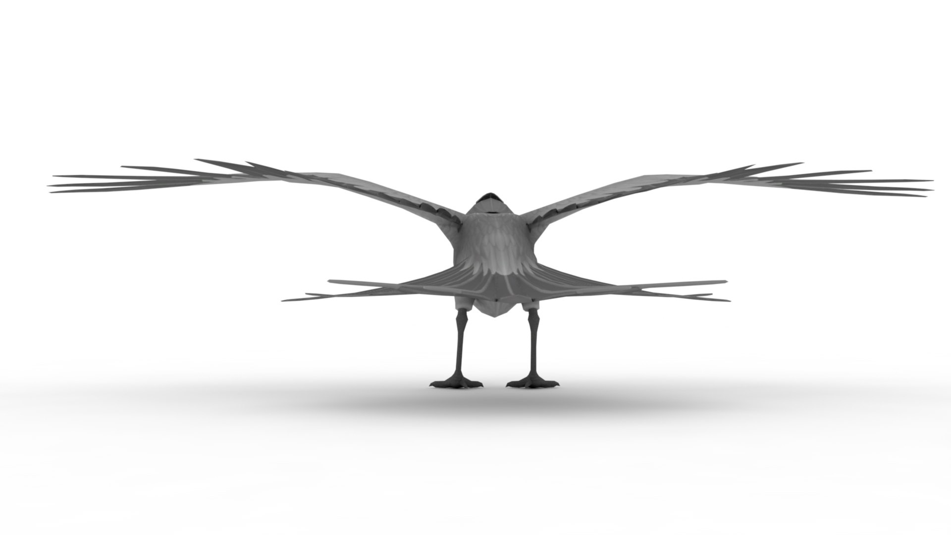 3D Model Pigeon - TurboSquid 1910571